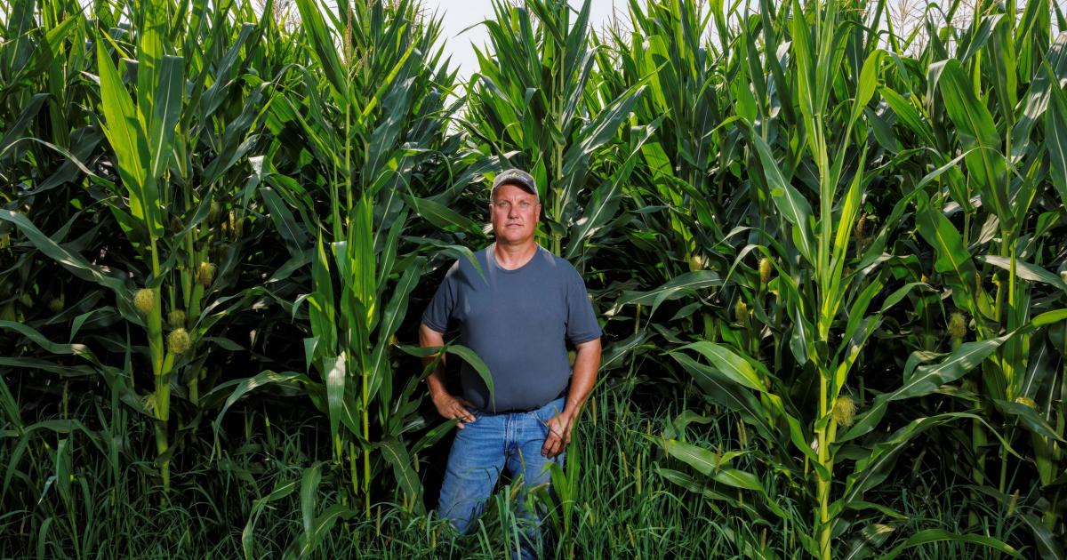 Cargill & Helm Joint Venture Qore Launches in Iowa • CHEManager is the ...